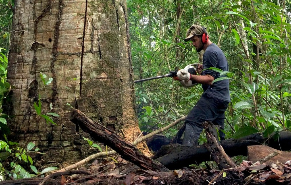 Tropical Tree-ring Network Website