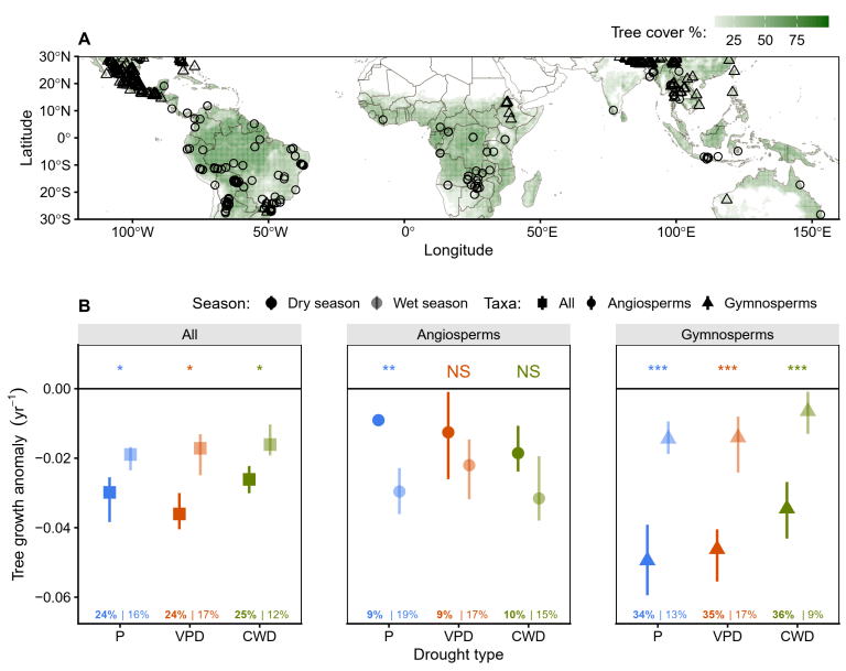 Publications – Tropical Tree-ring Network Website